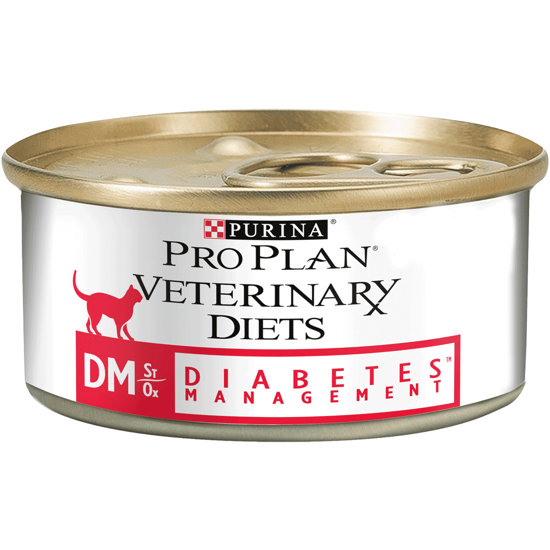 Purina Cat Food For Diabetic Cats Cat Meme Stock Pictures And Photos