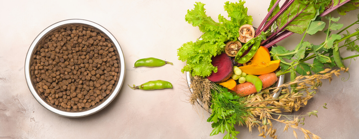 Dry food and vegetables