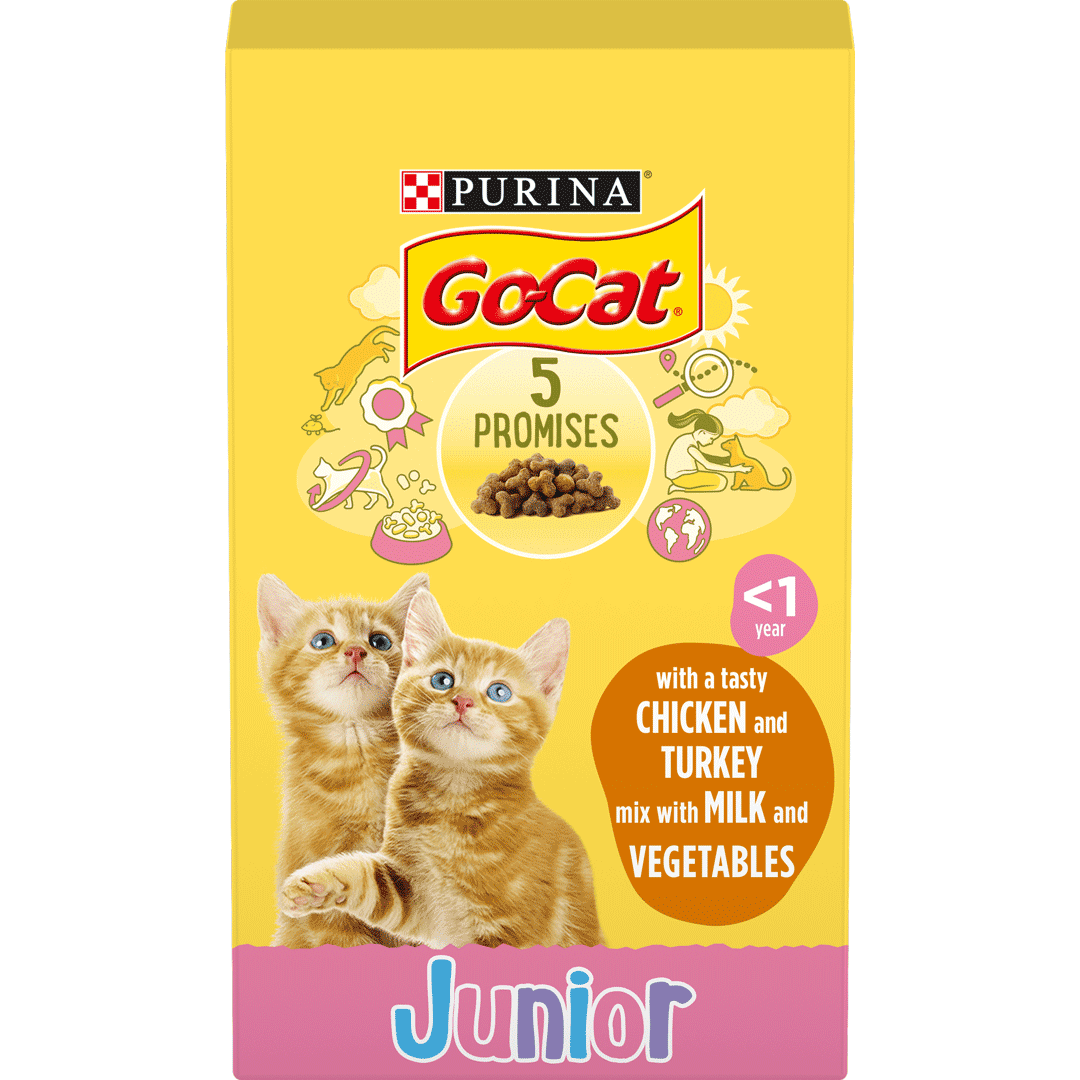 GO-CAT® Junior Chicken and Milk Dry Cat Food | Purina