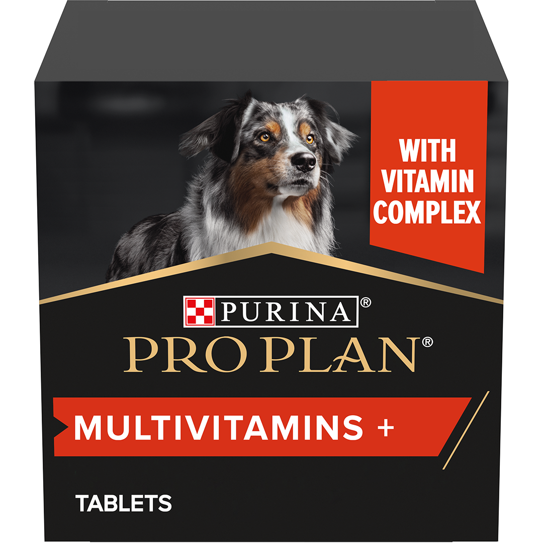 Can You Give Multivitamins To Dogs