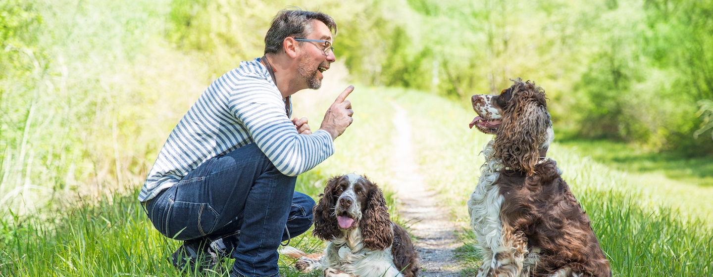 Owner training dogs outside Hero