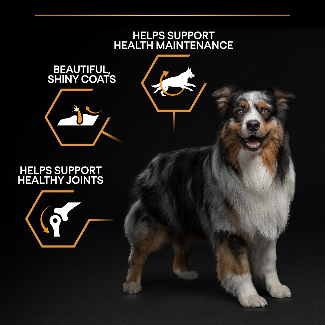 Purina Pro Plan Hundematlogo Pro Plan Dog | Free UK Delivery