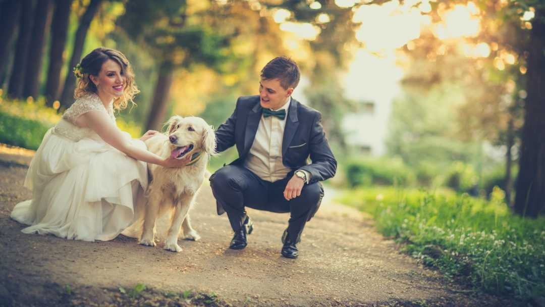 Wedding couple with a dog