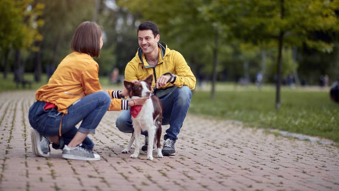 New Study Reveals the Many Benefits of Having a Dog | Purina UK