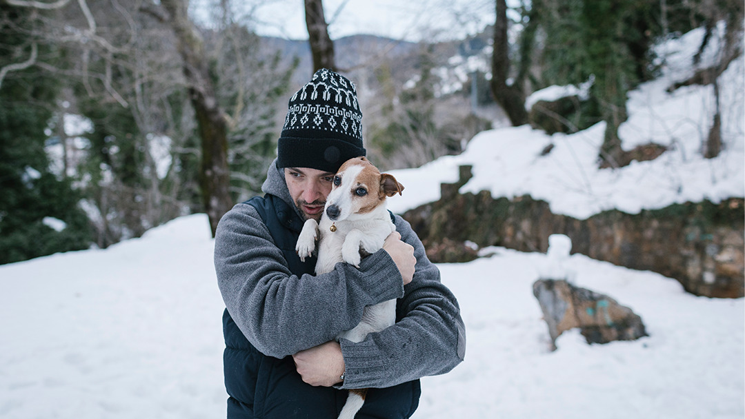 Do Dogs Get Cold? A Guide To Keeping Your Dog Warm | Purina UK
