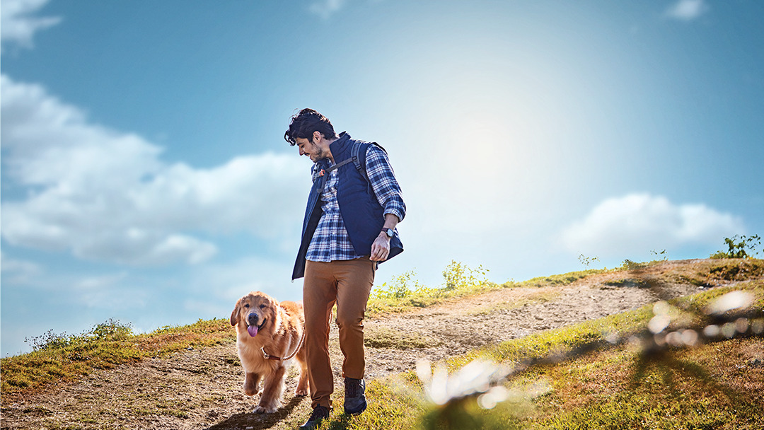 Purina | Discover the UK's Best Dog Walking Routes