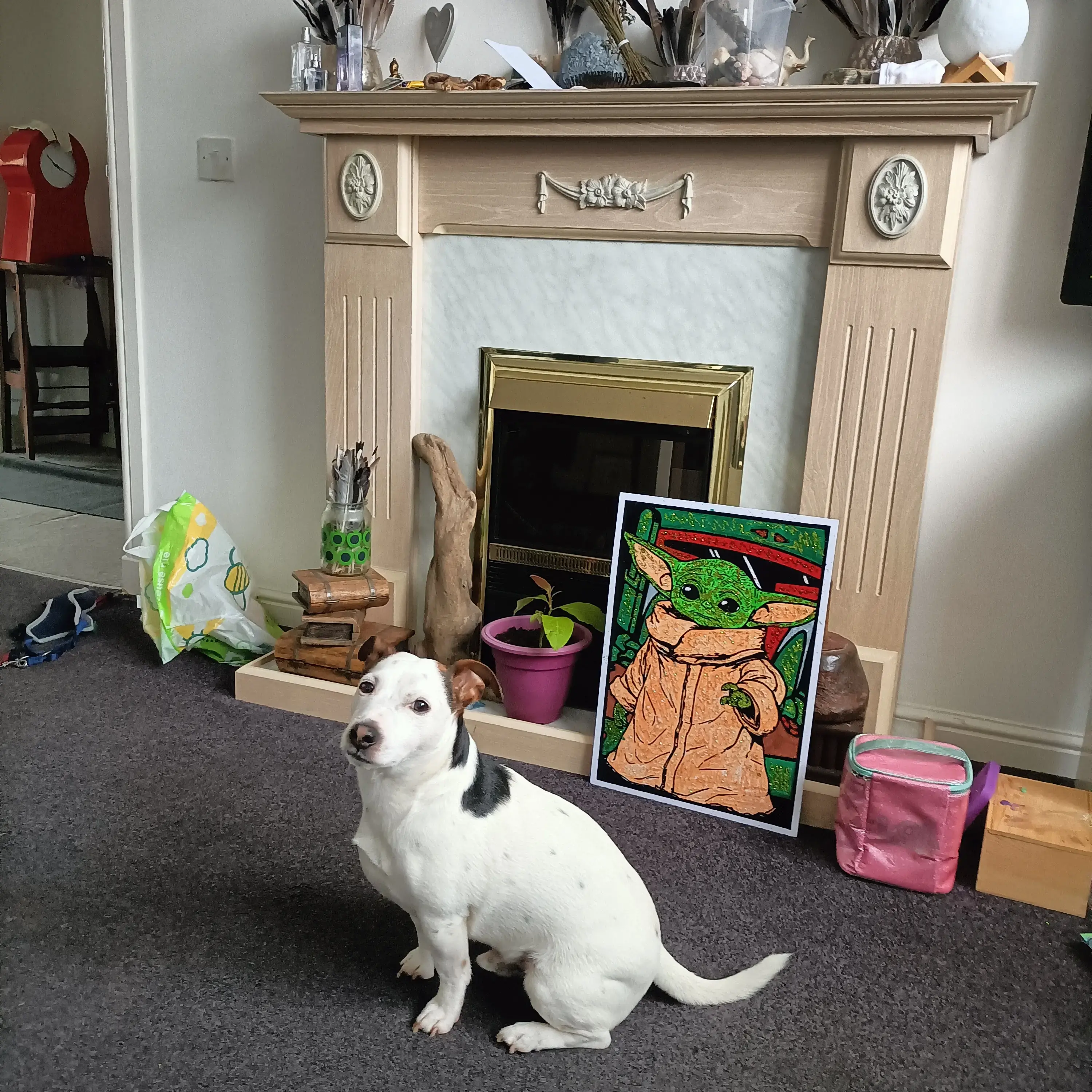 Dillon Jack Russell Terrier | Purina UK