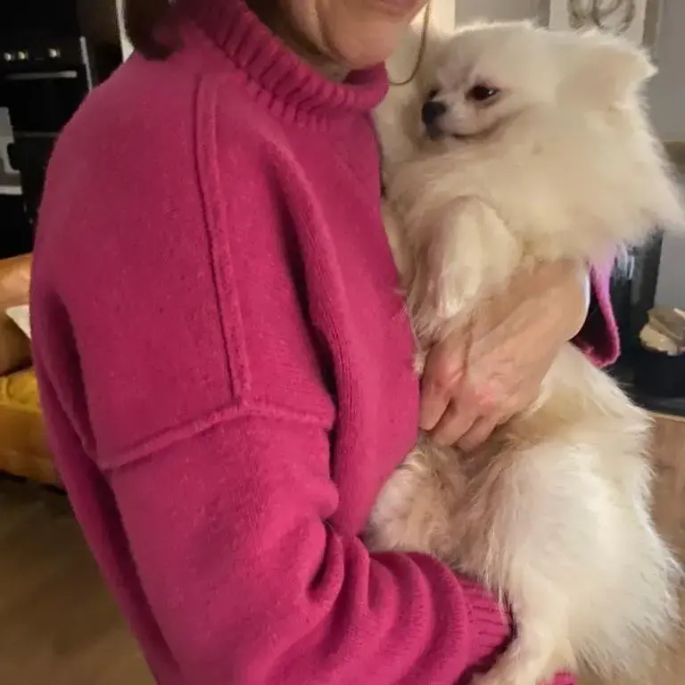 Pinto Pomeranian | Purina UK