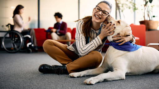 10 Best Therapy Dogs for Affection & Comfort | Purina UK