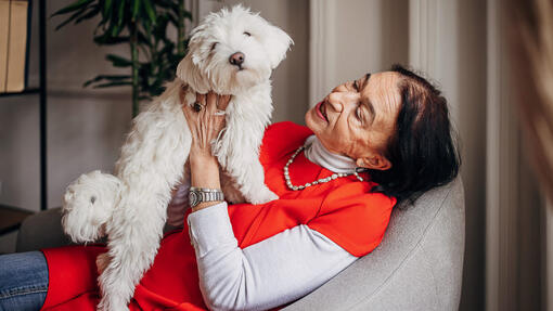 10 Best Therapy Dogs for Affection & Comfort | Purina UK