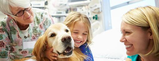 10 Best Therapy Dogs for Affection & Comfort | Purina UK