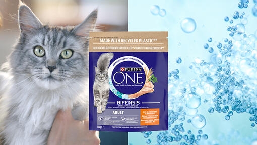Purina ONE® Advanced Nutrition For Your Cat | Purina UK