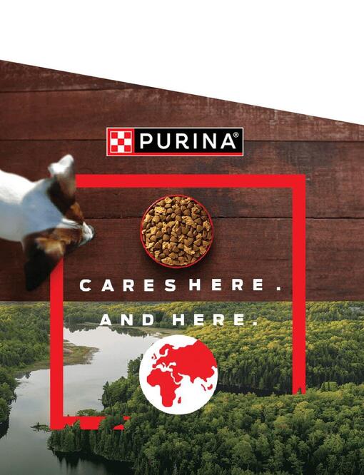 Purina: Your Pet, Our Passion