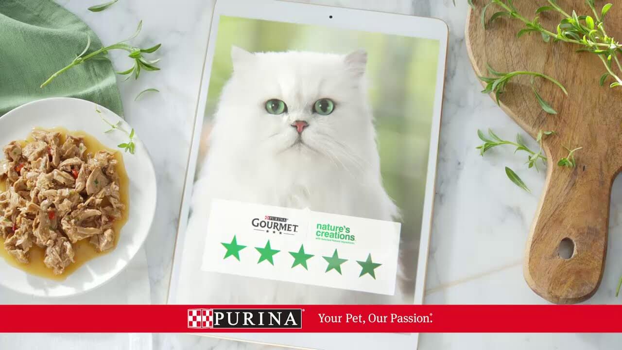 Gourmet® Luxury Cat Food For Refined Palates | Purina