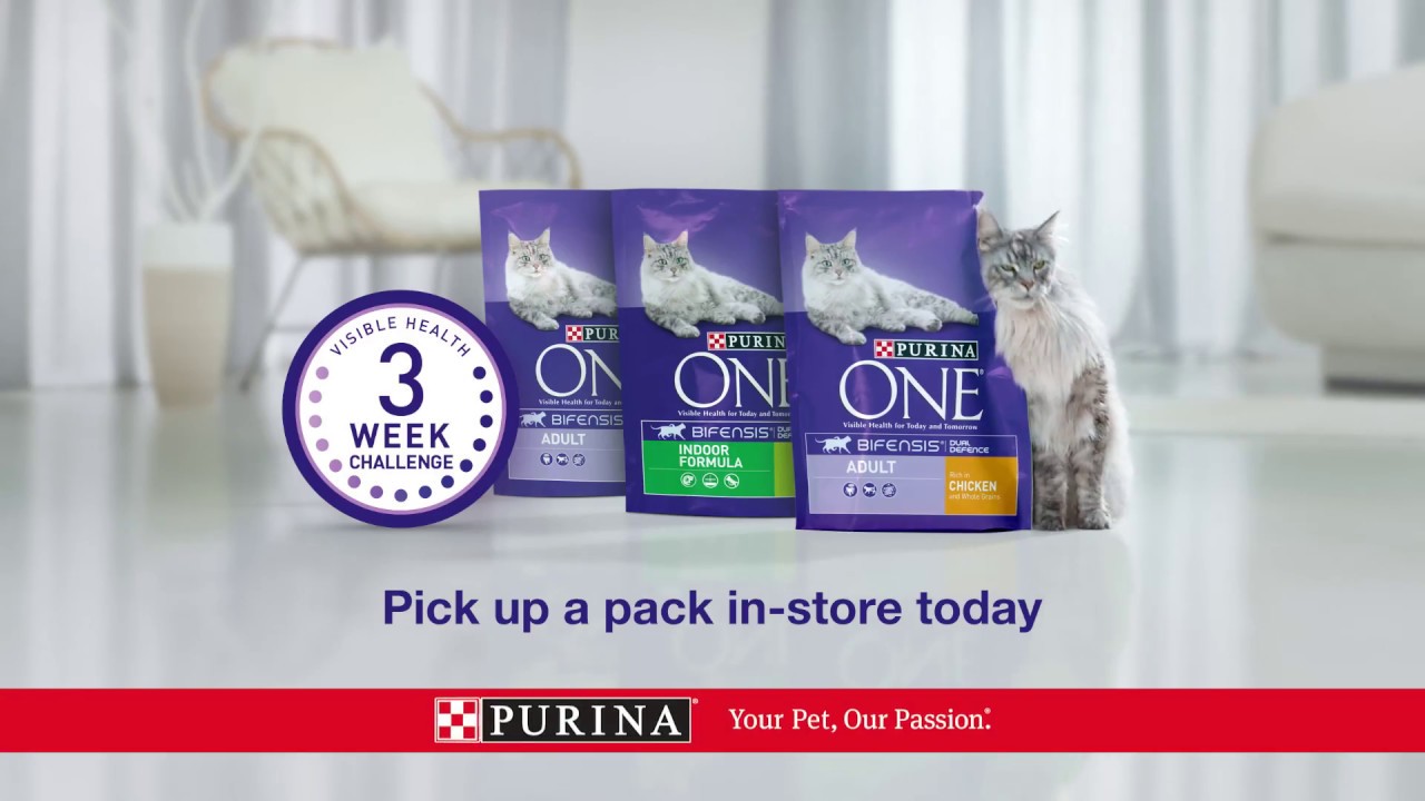 Purina ONE® Nutritionally Balanced Cat Food | Purina